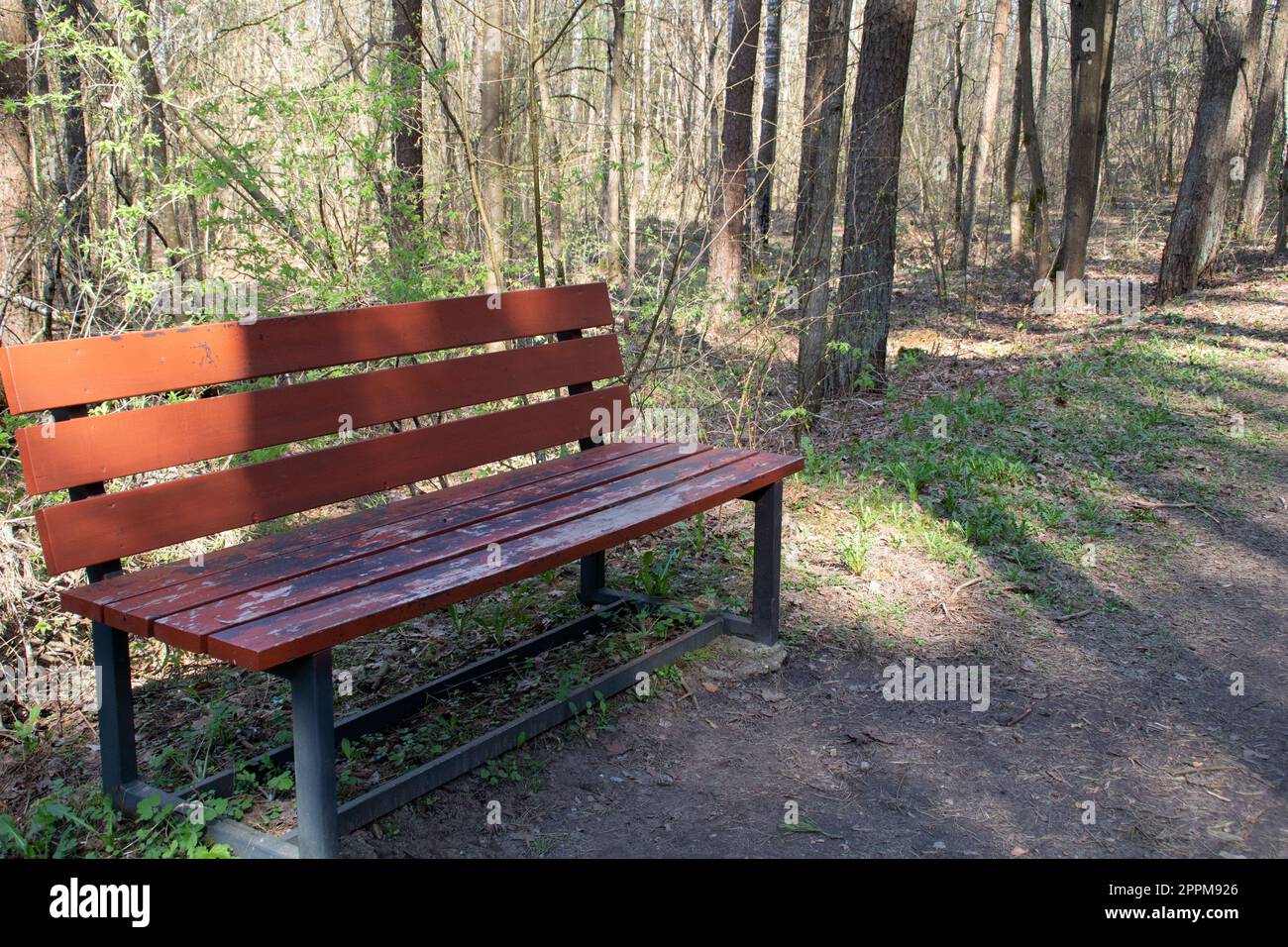 Bench in the woods hi-res stock photography and images - Alamy