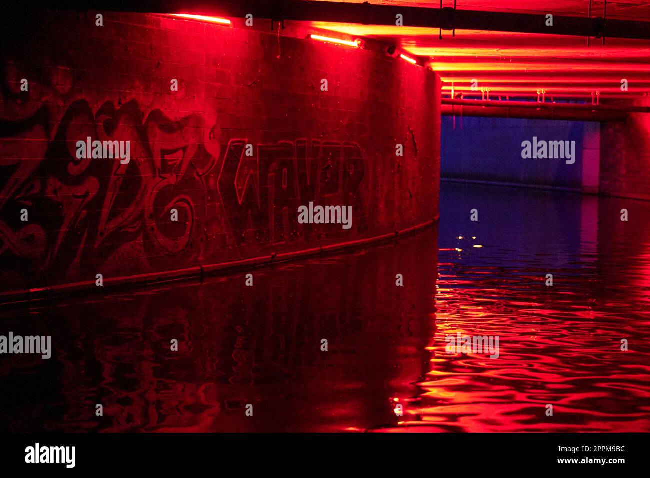 City night neon lights hi-res stock photography and images - Alamy