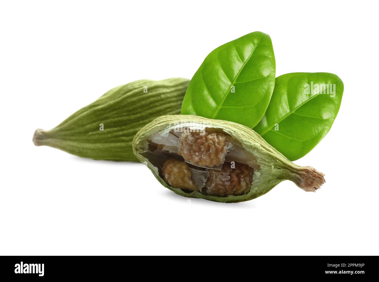 Dry cardamom pods and green leaves on white background Stock Photo - Alamy