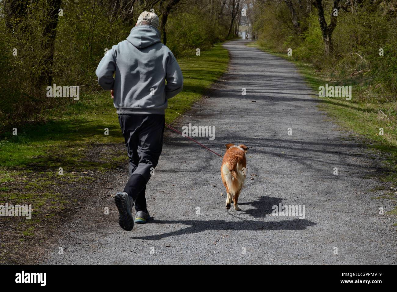 The mountain between us dog hi-res stock photography and images - Alamy