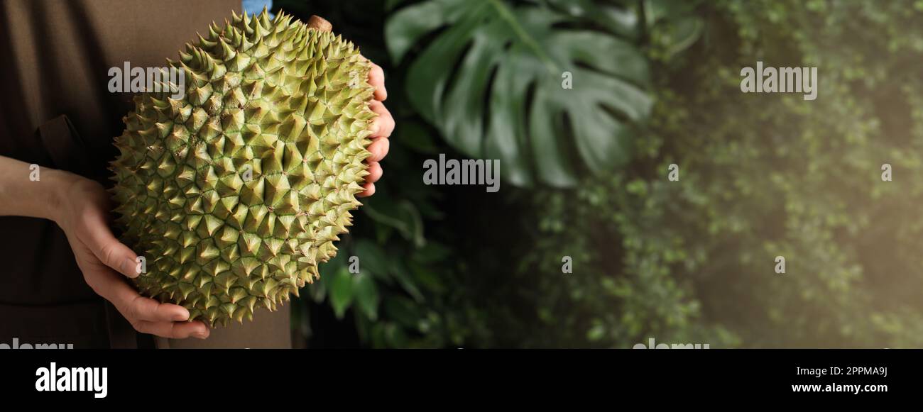 Woman holding fresh ripe durian outdoors, closeup view with space for ...