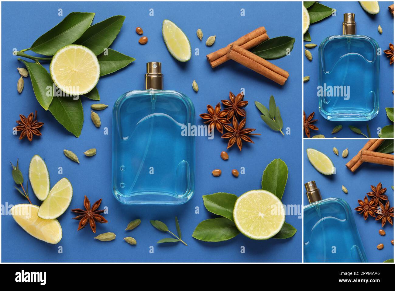 Beautiful collage with photos of luxury perfume and ingredients ...