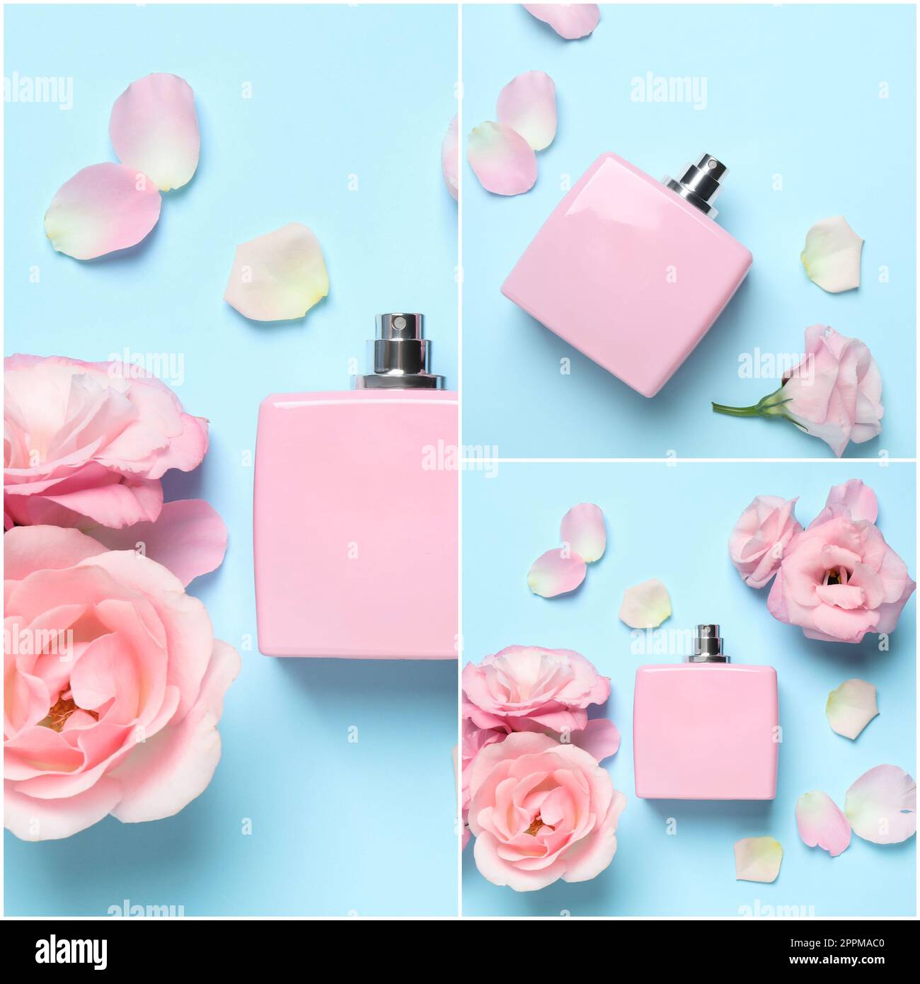Beautiful collage with photos of luxury perfume and flowers represent ...