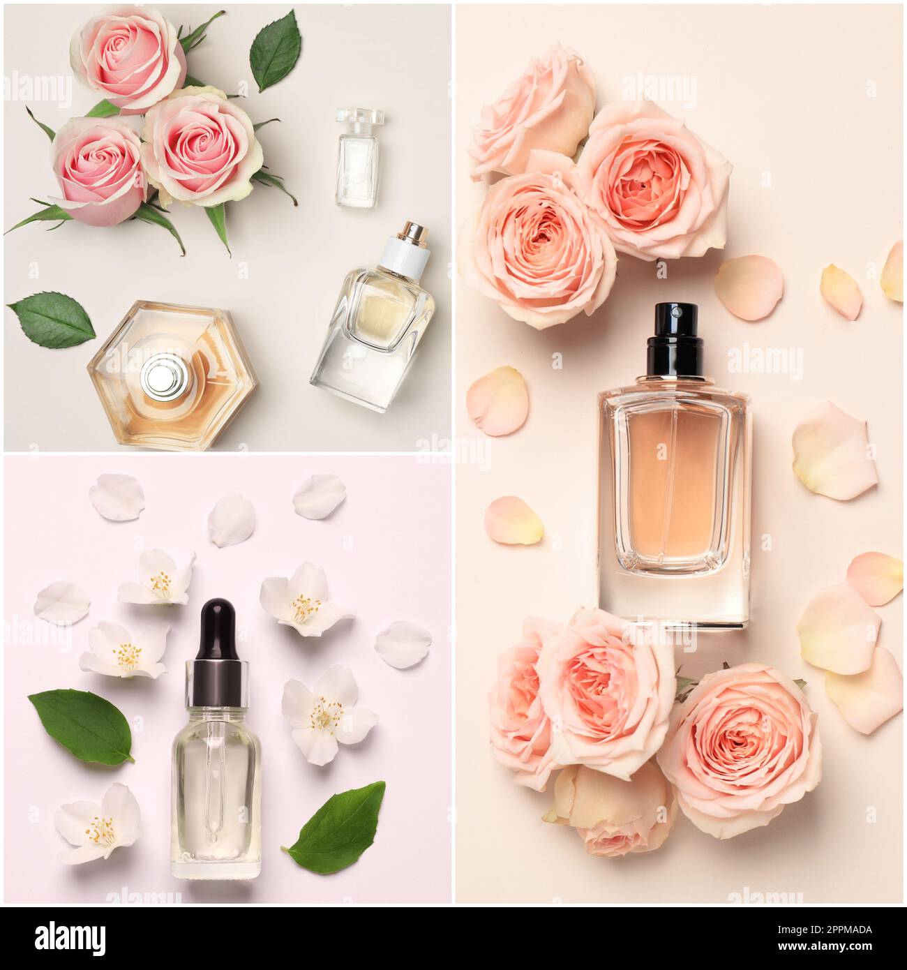 Beautiful collage with photos of luxury perfume and flowers represent ...