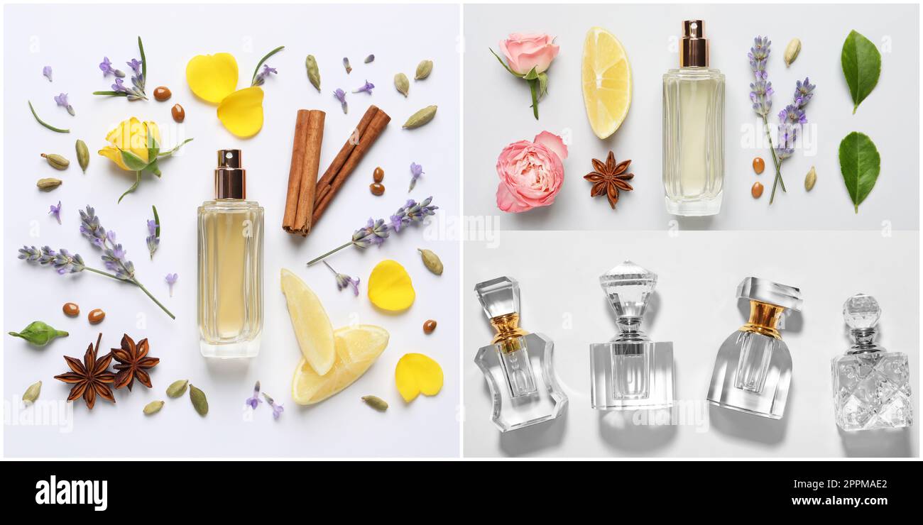Beautiful collage with photos of luxury perfume and ingredients ...