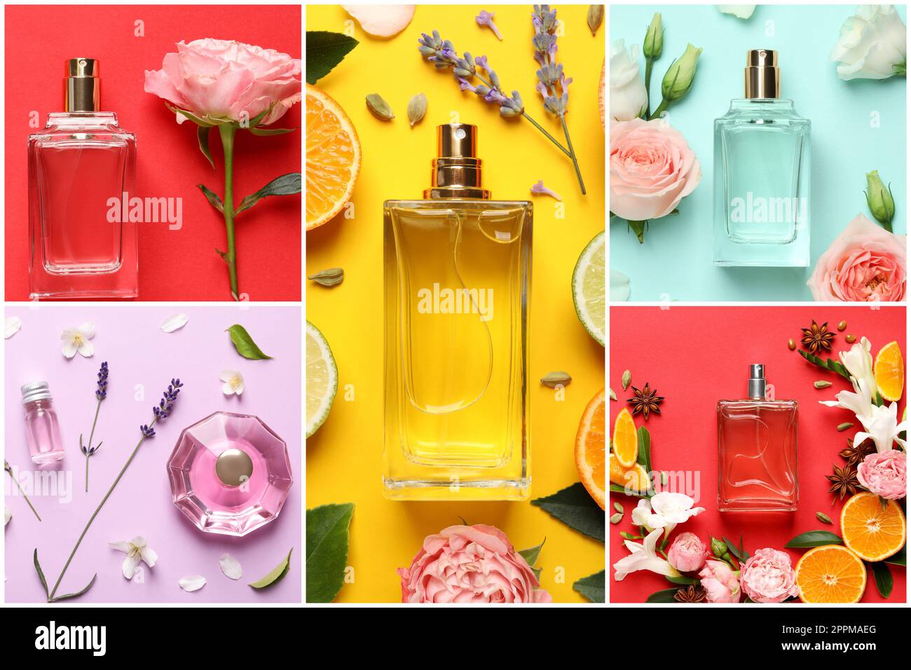 Beautiful collage with photos of luxury perfume and ingredients ...