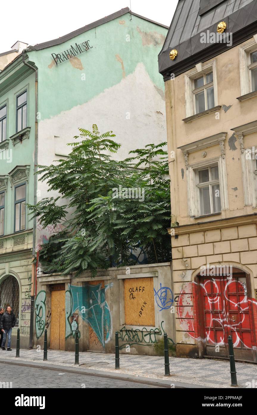 Vertical street view with graffiti on old buildings in Prague, Czech ...