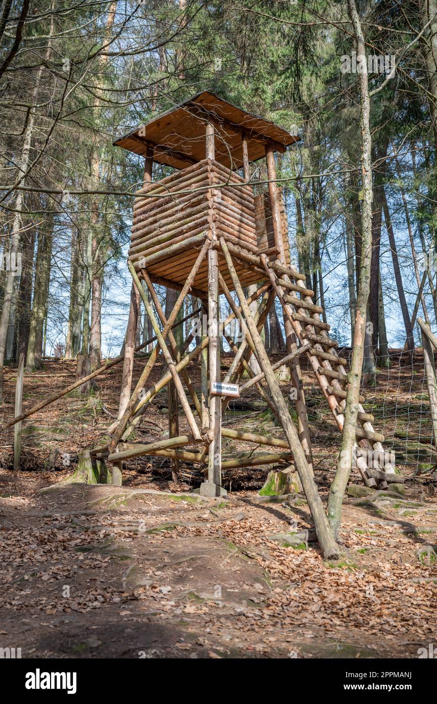 Deer Stand Made Of Wood In The Woods With Ladder Low Angle View Forest In The Background