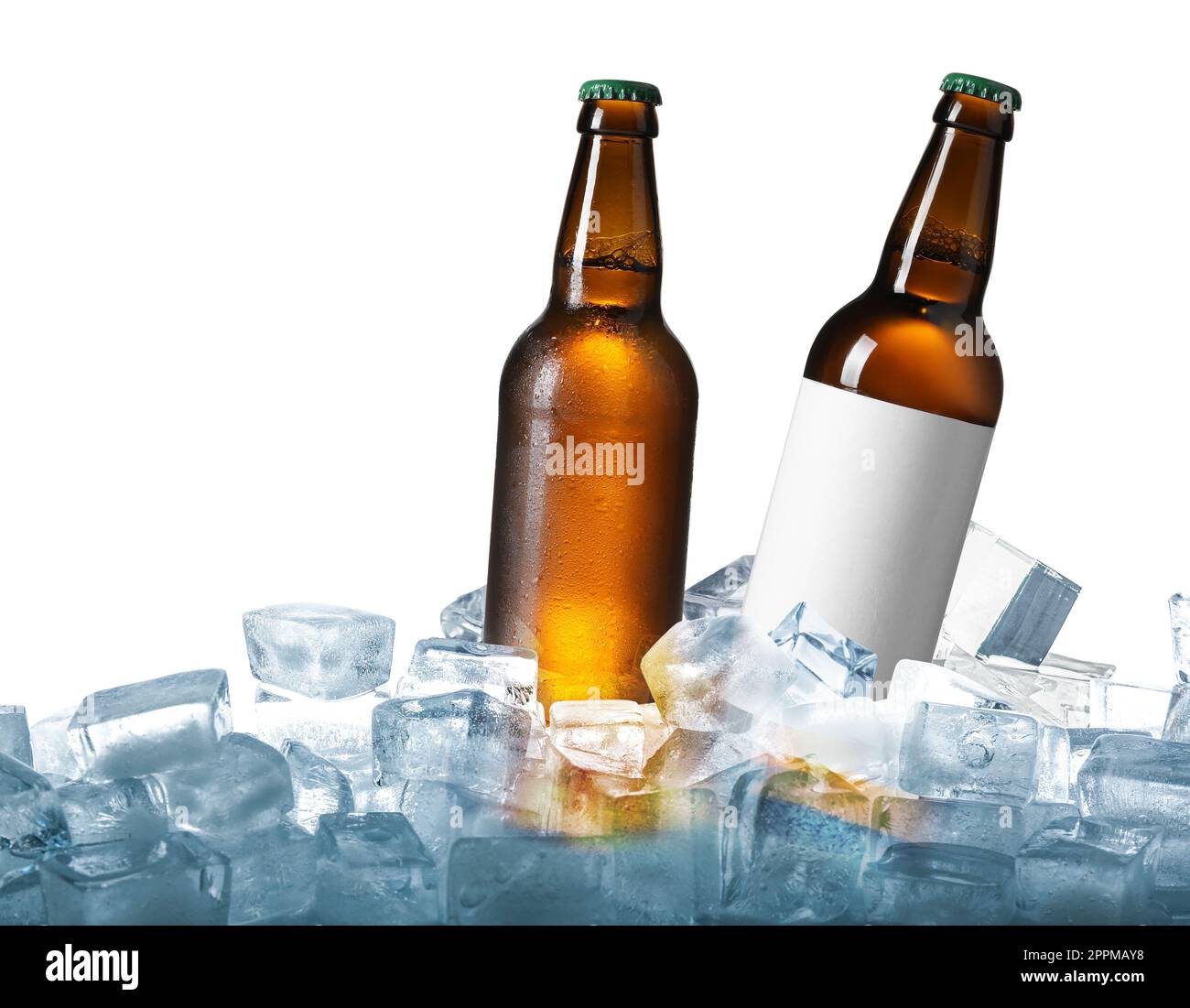 Bottles of beer on ice cubes against white background Stock Photo - Alamy