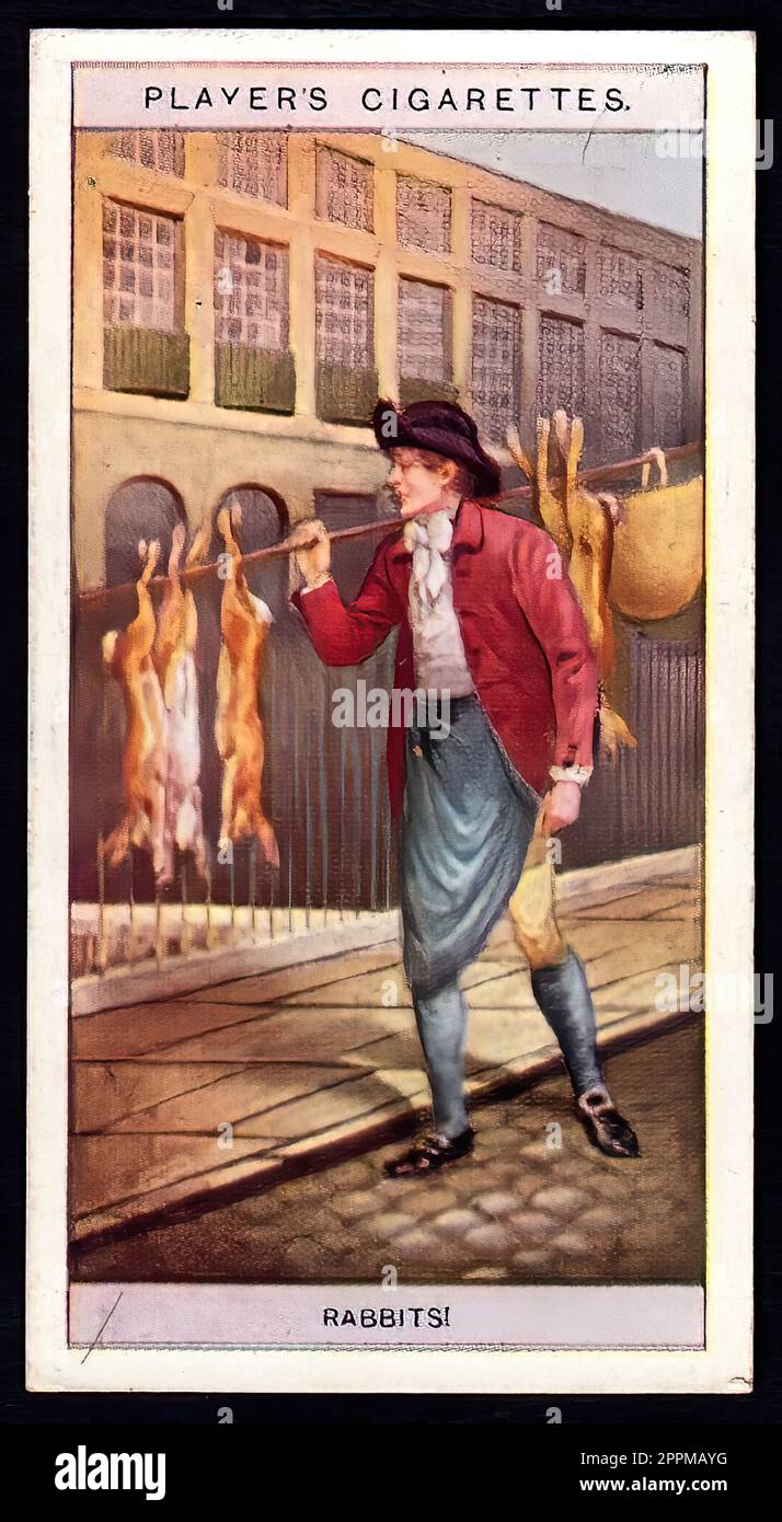 Rabbits! - Vintage British Cigarette Card - Victorian Era Stock Photo ...