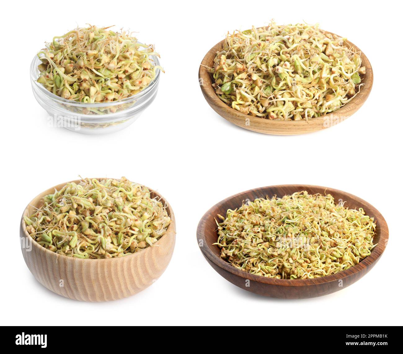 Set of sprouted green buckwheat on white background Stock Photo - Alamy