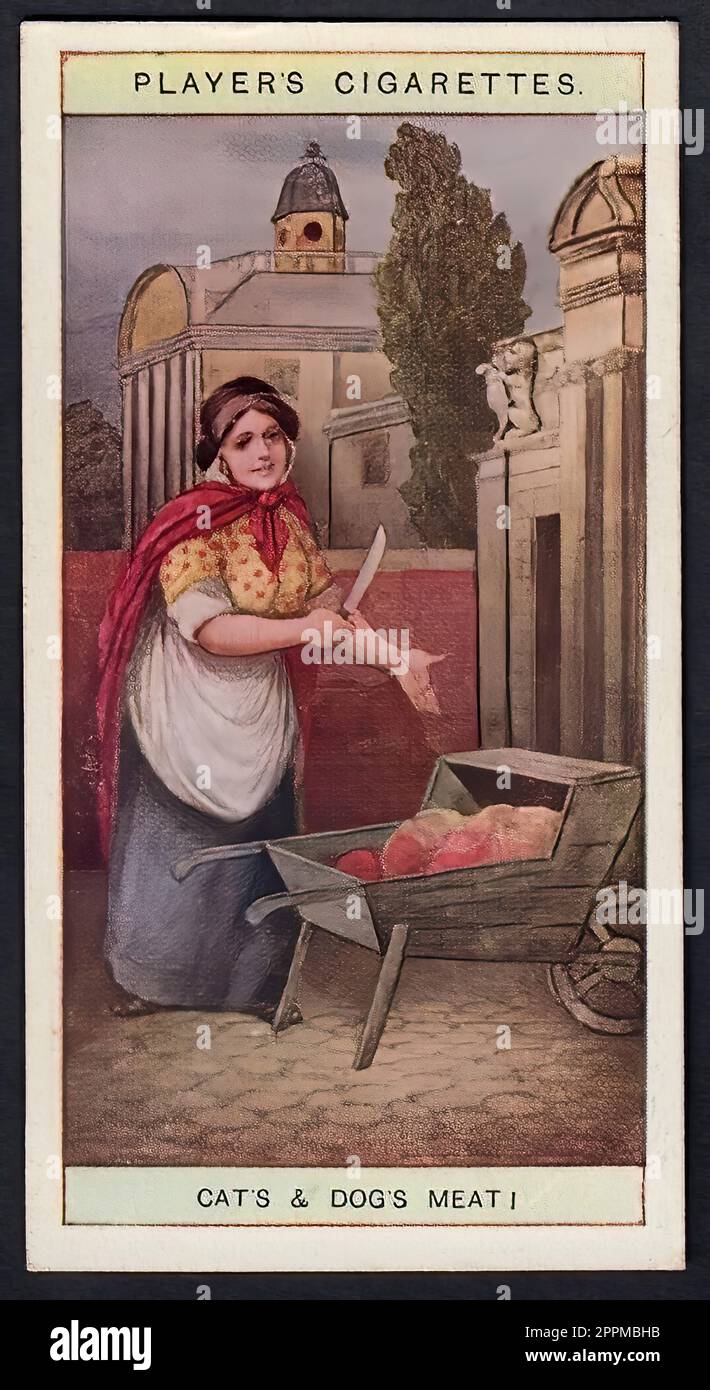 Cats & Dogs Meat - Vintage British Cigarette Card - Victorian Era Stock ...