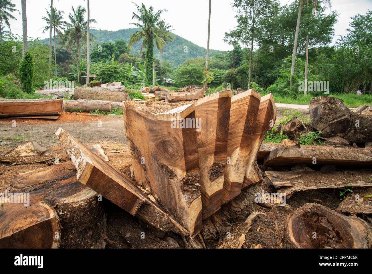 THAILAND PRACHUAP KHIRI KHAN BORDER MYANMAR WOOD Stock Photo - Alamy