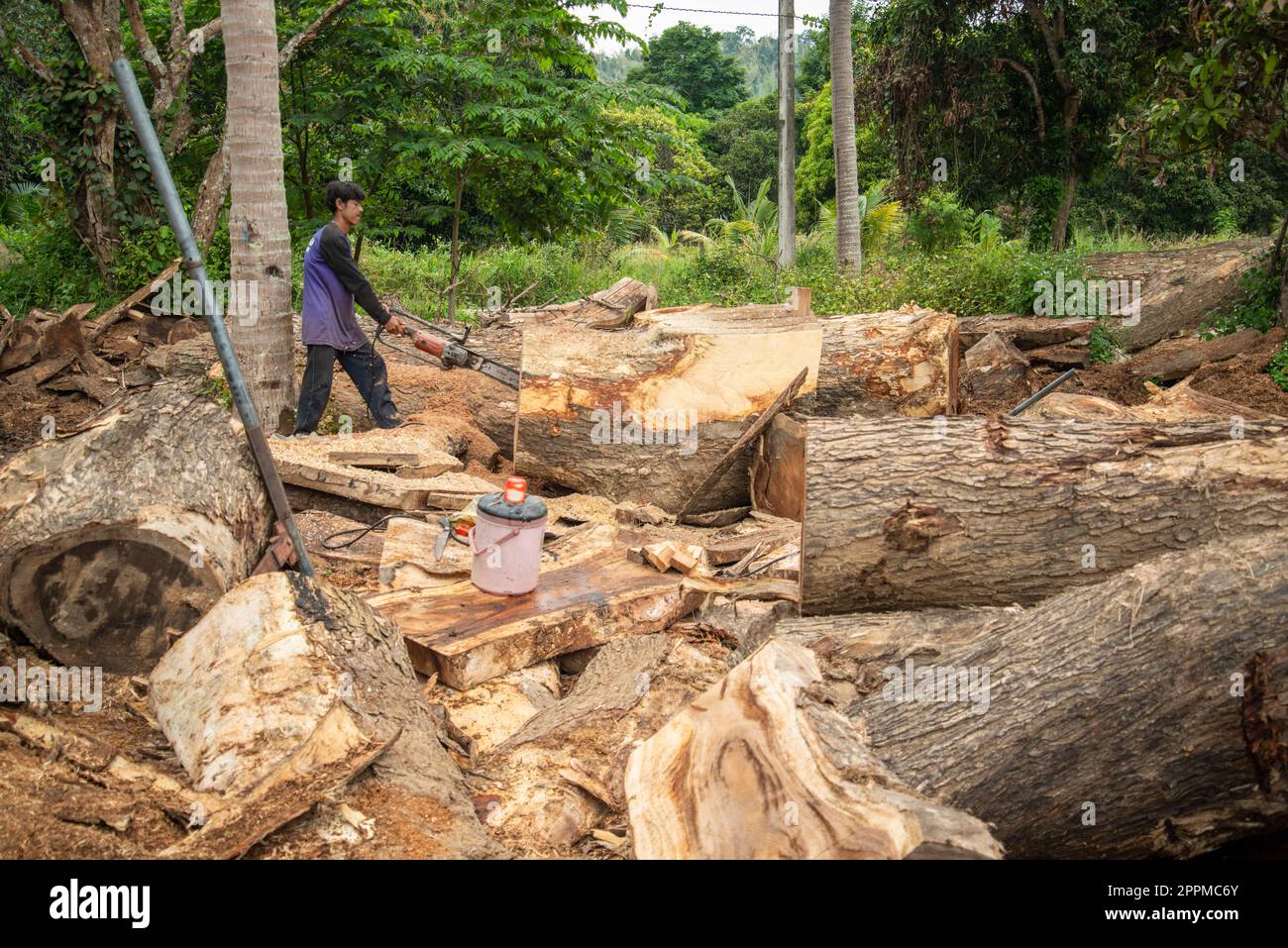THAILAND PRACHUAP KHIRI KHAN BORDER MYANMAR WOOD Stock Photo - Alamy