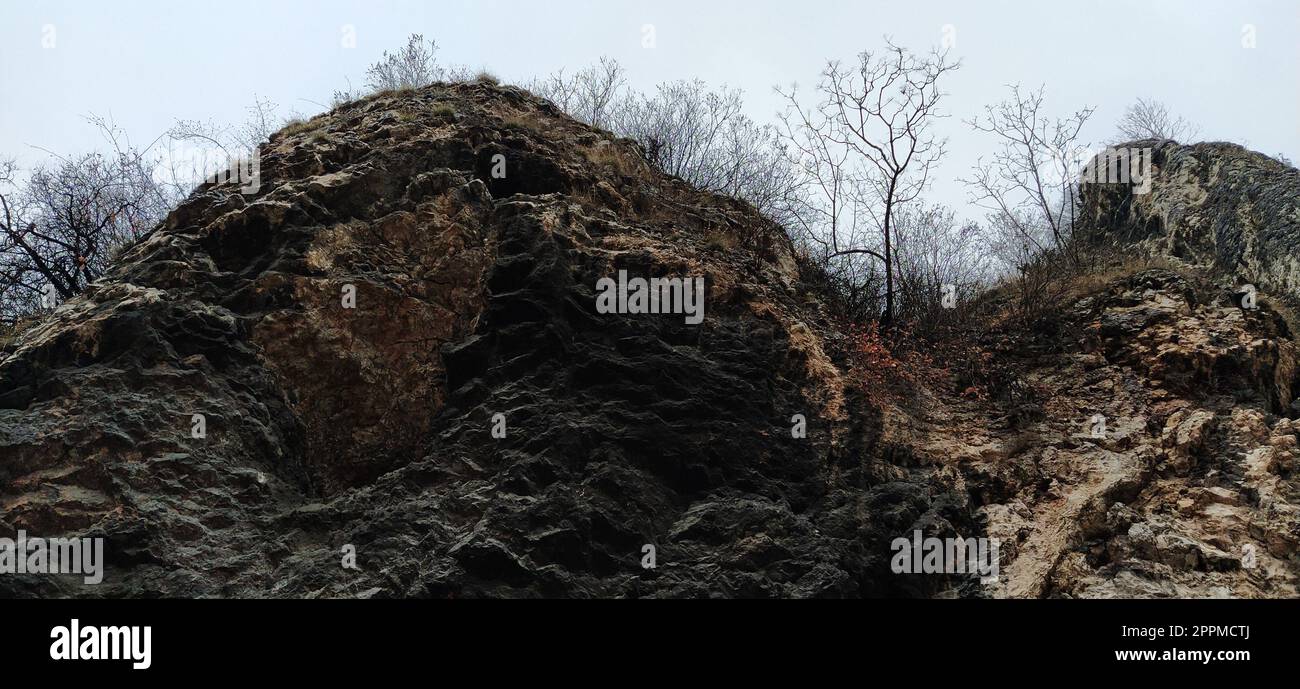 Rocky cliff with bushes, bottom to top view. Rocks after blasting to ...