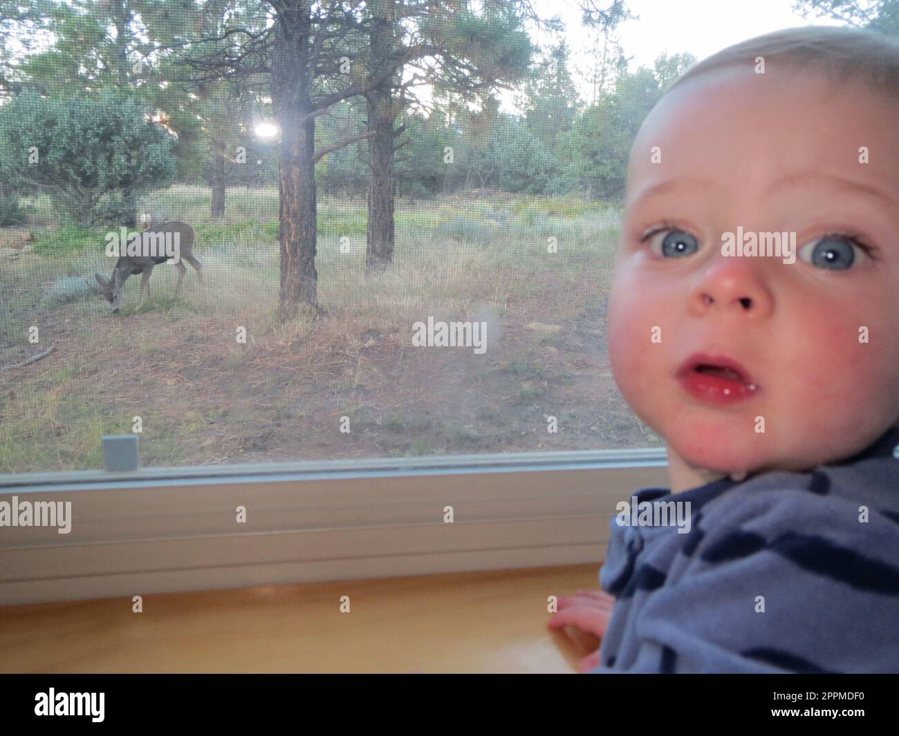 Wonderment hi-res stock photography and images - Alamy