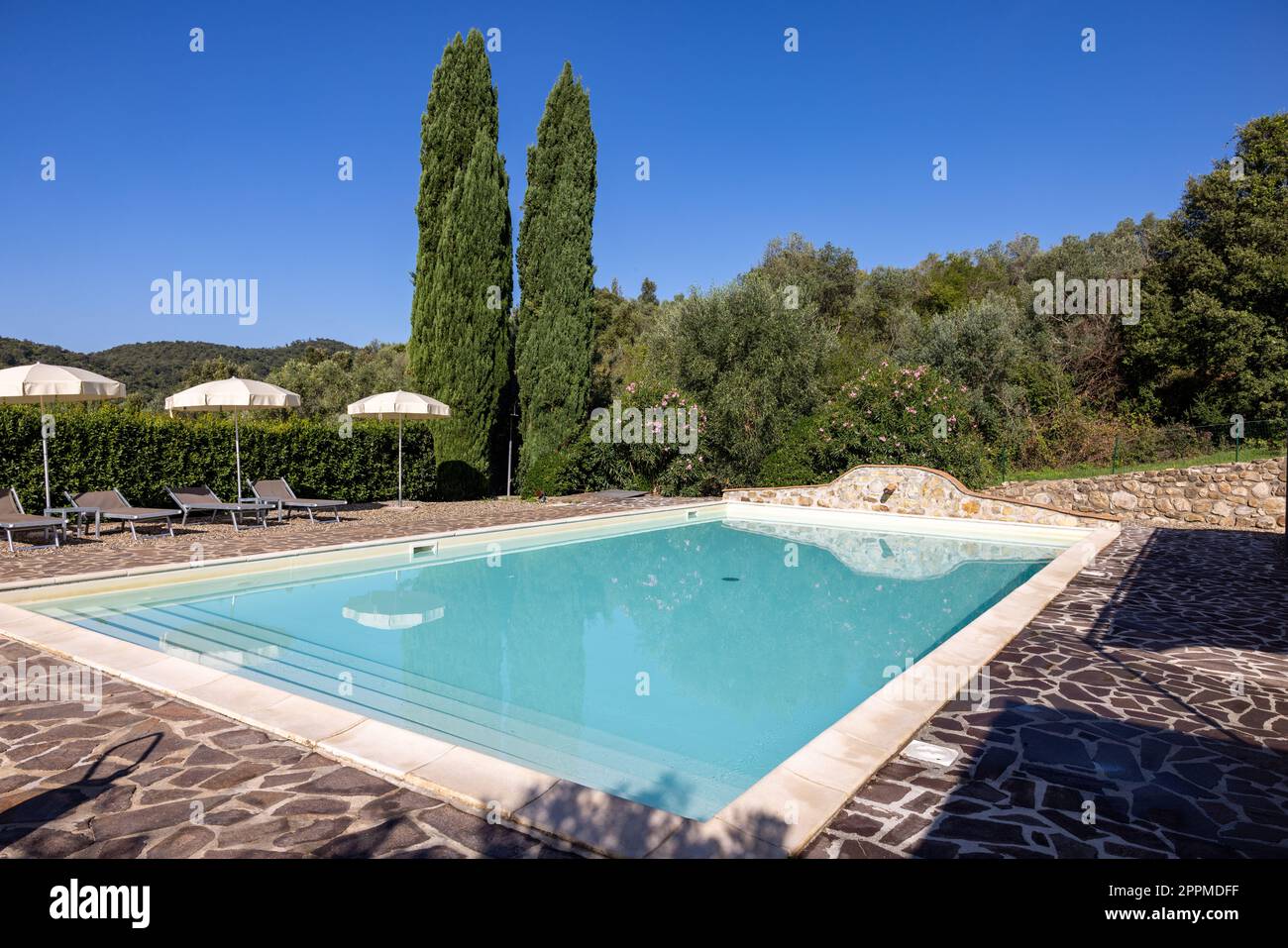 Olive tree swimming pool hi-res stock photography and images - Alamy