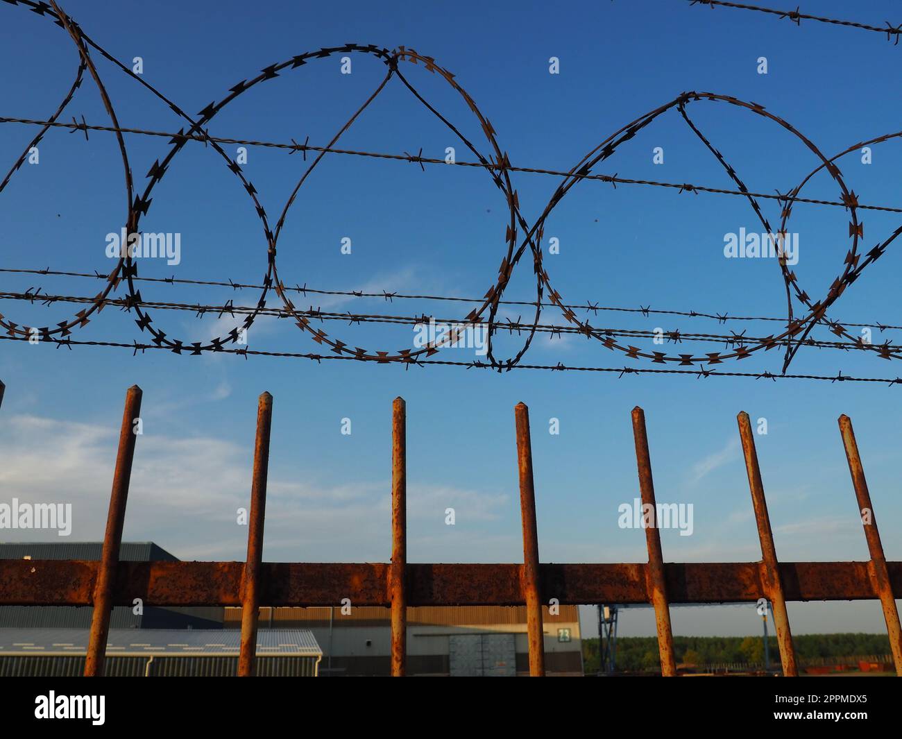 Barbed wire in skeins and stretched against the blue sky. Barbed wire ...