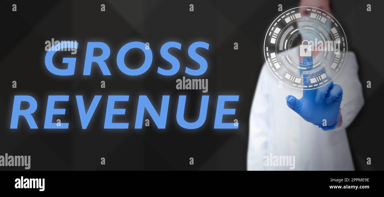 Inspiration showing sign Gross Revenue. Business overview total value ...