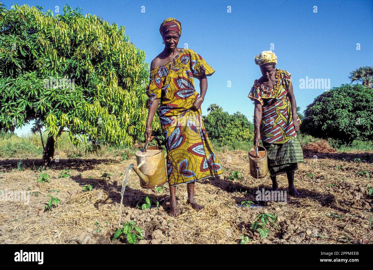 Senegal woman farm hi-res stock photography and images - Alamy
