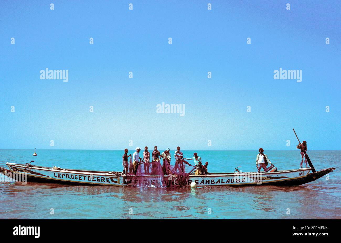 Senegal fish hi-res stock photography and images - Alamy