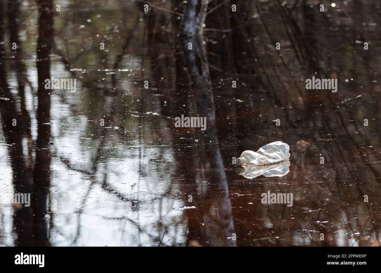 Plastic bottle in muddy water in the forest, thrown away by man ...