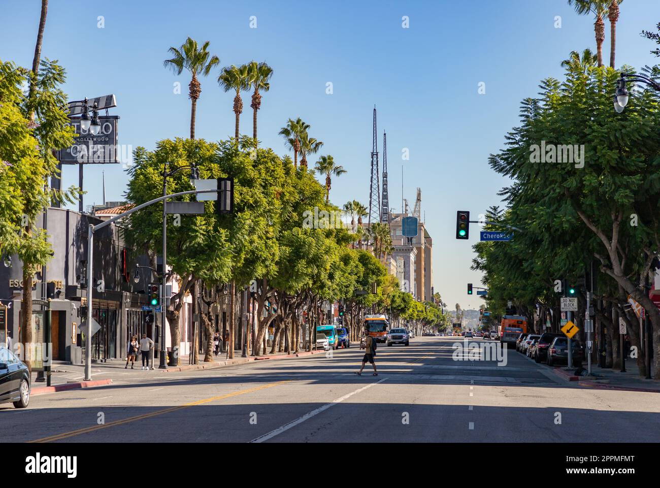 Hollywood boulevard palm trees hi-res stock photography and images - Alamy