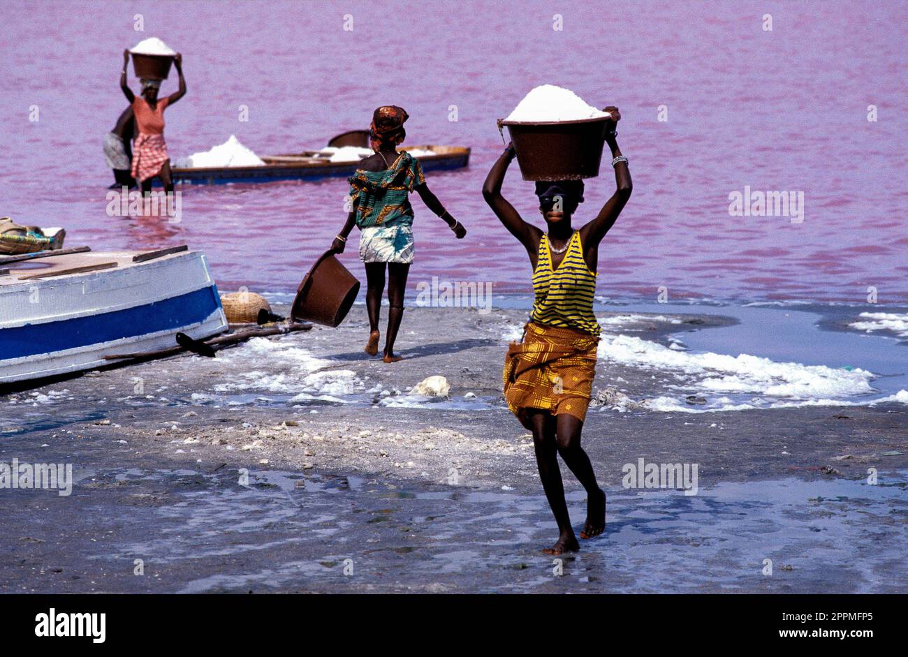 Senegal - Workers collecting salt at the pink lake for salt industry ...