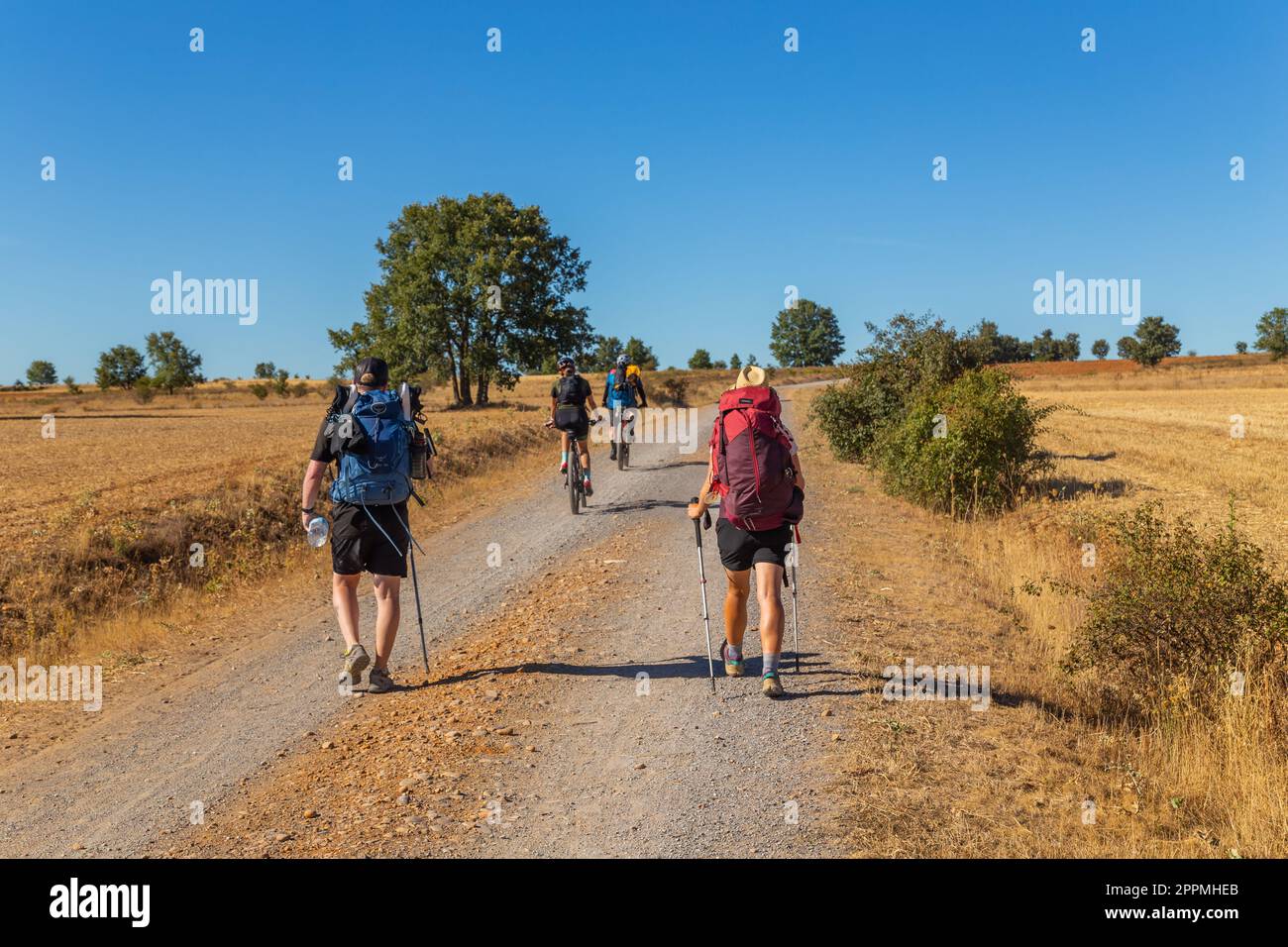 Pilgrims walk along the Camino De Santiago Stock Photo - Alamy