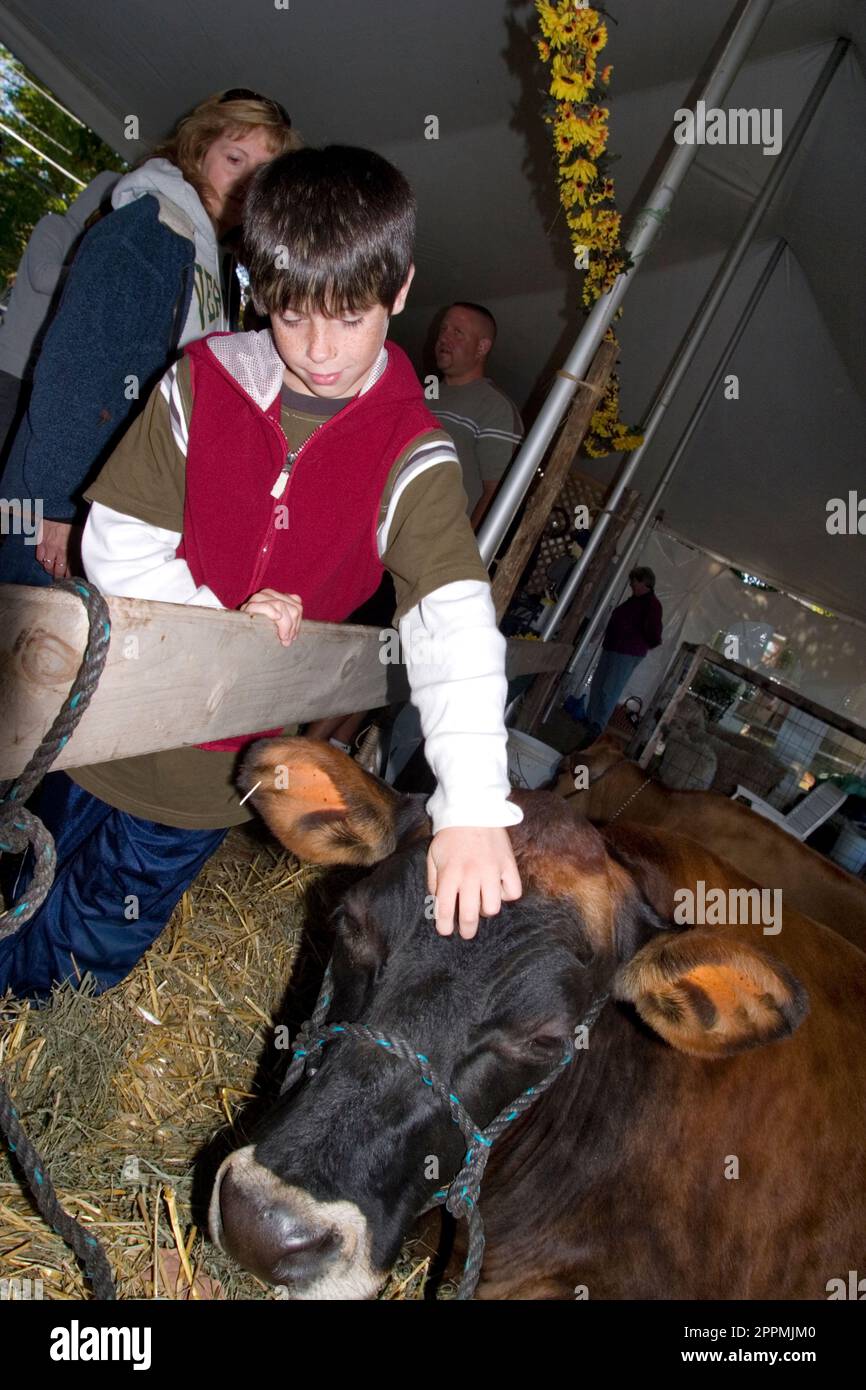 Petting farm hi-res stock photography and images - Alamy