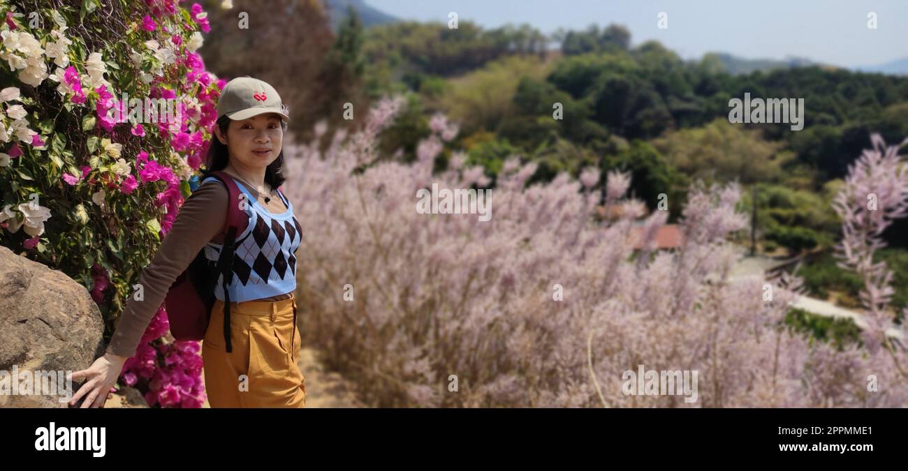 Beautiful Pink Hill Muskwood in Zhongliao, Nantou, Taiwan Stock Photo ...