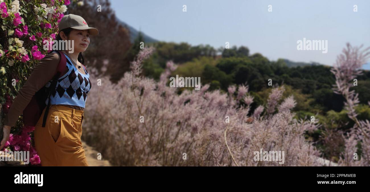 Beautiful Pink Hill Muskwood in Zhongliao, Nantou, Taiwan Stock Photo ...