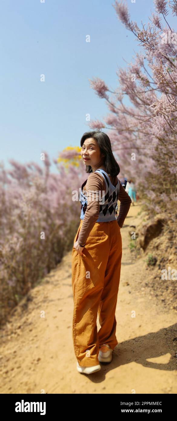 Zhongliao hi-res stock photography and images - Alamy