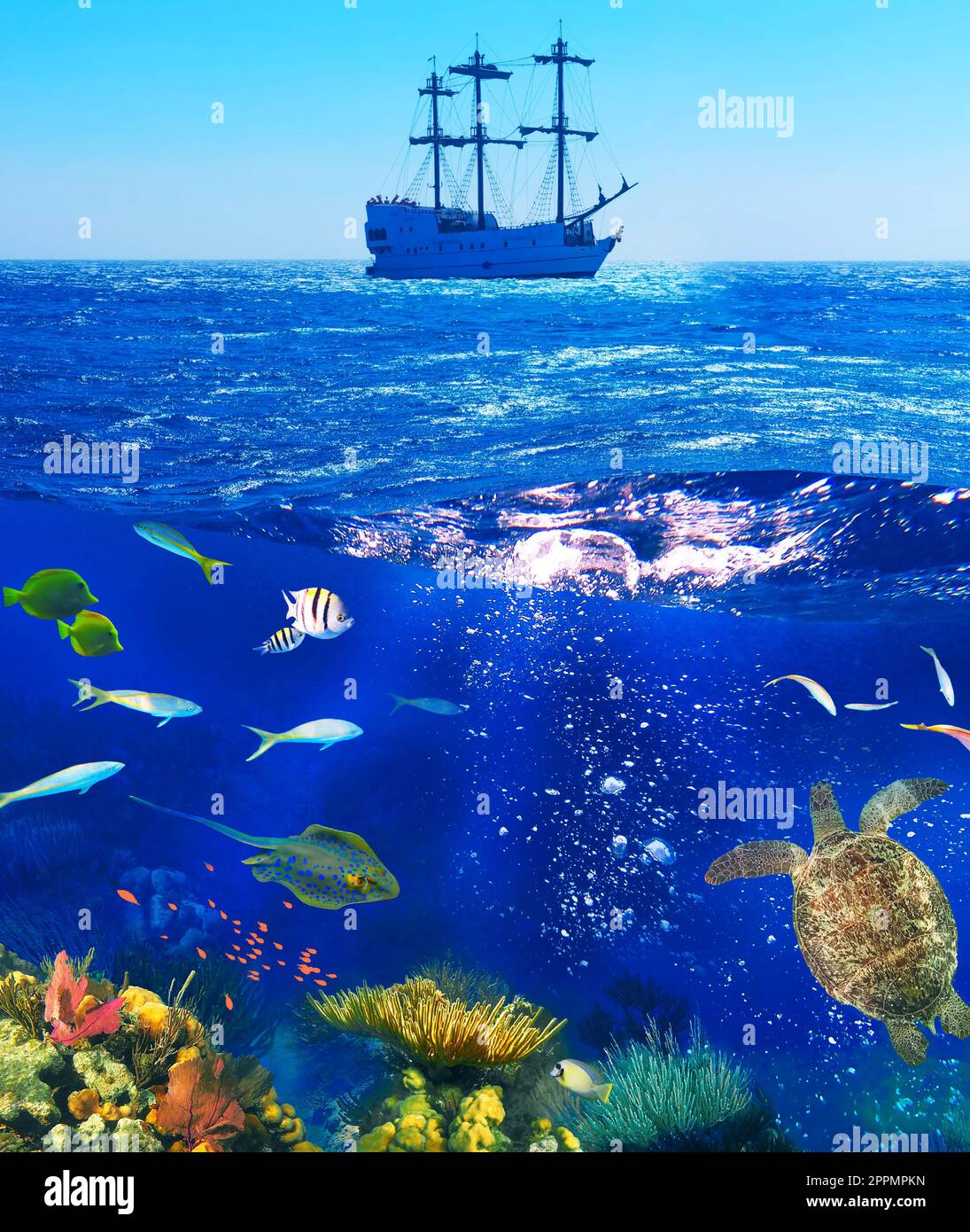 Underwater Fish Background