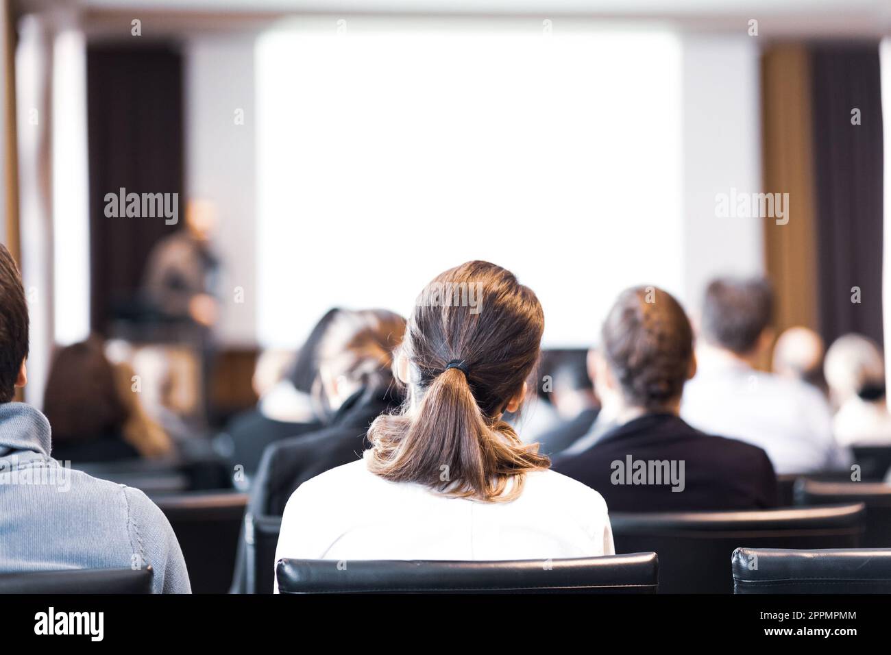 Business Presentation Audience