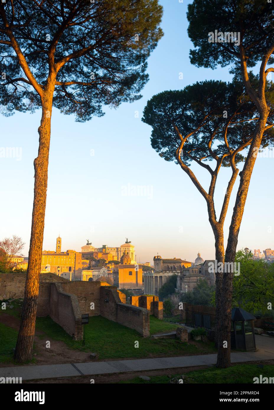 Roman Forum ruins, Rome, Italy. Aerial vertical view of famous tourist ...