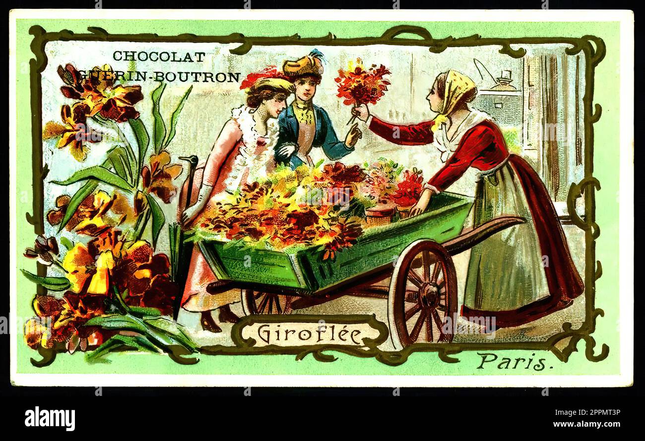 Giroflee Wallflower - Vintage French Tradecard - Belle Epoque Era Stock ...