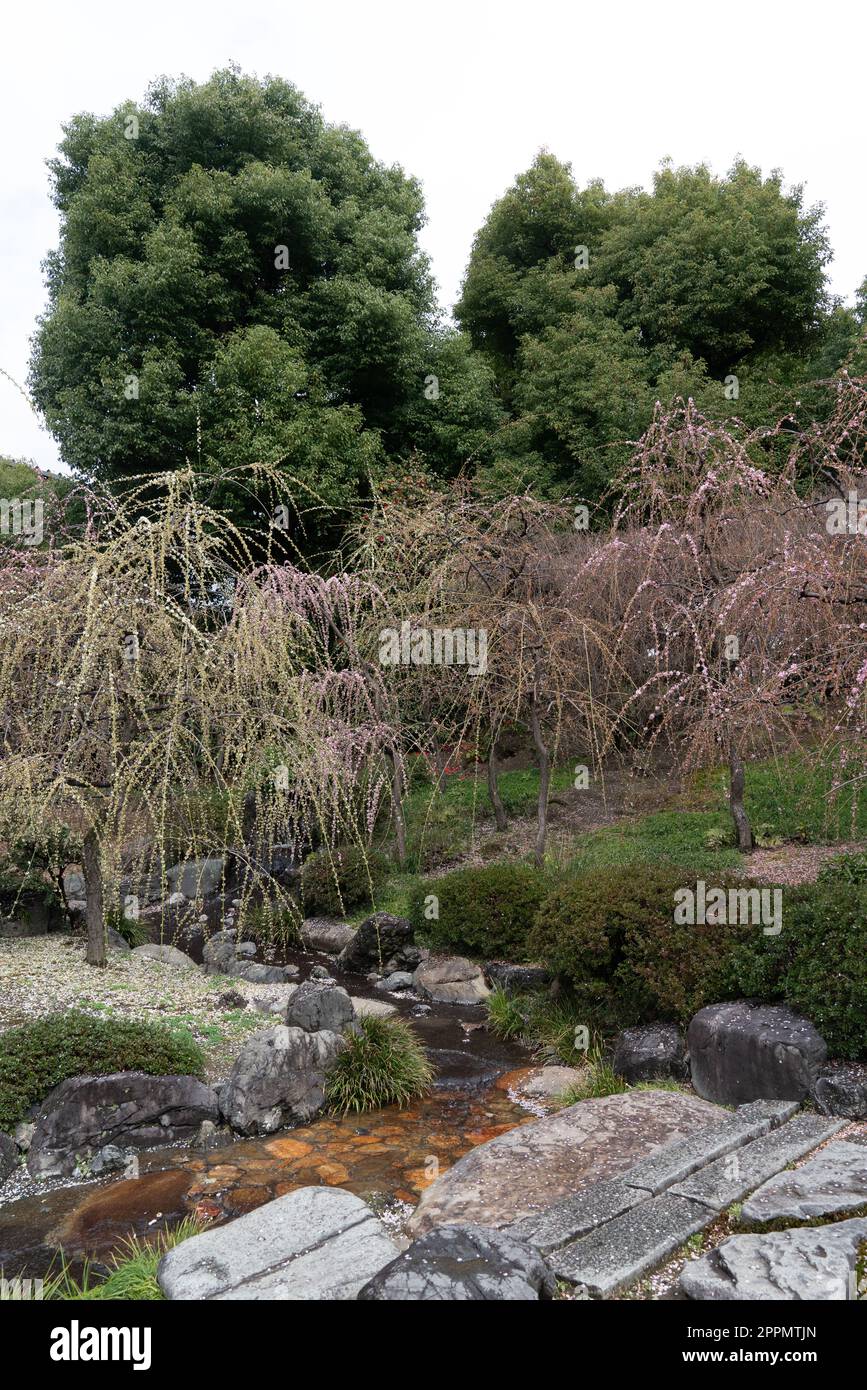 Jonangu - a shinto shrine in sothern Kyoto with traditional ...