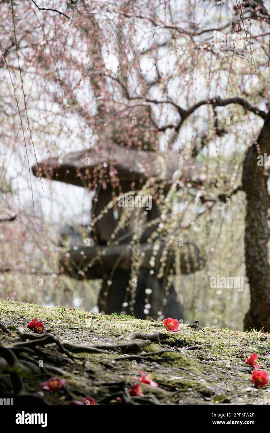 Jonangu - a shinto shrine in sothern Kyoto with traditional ...