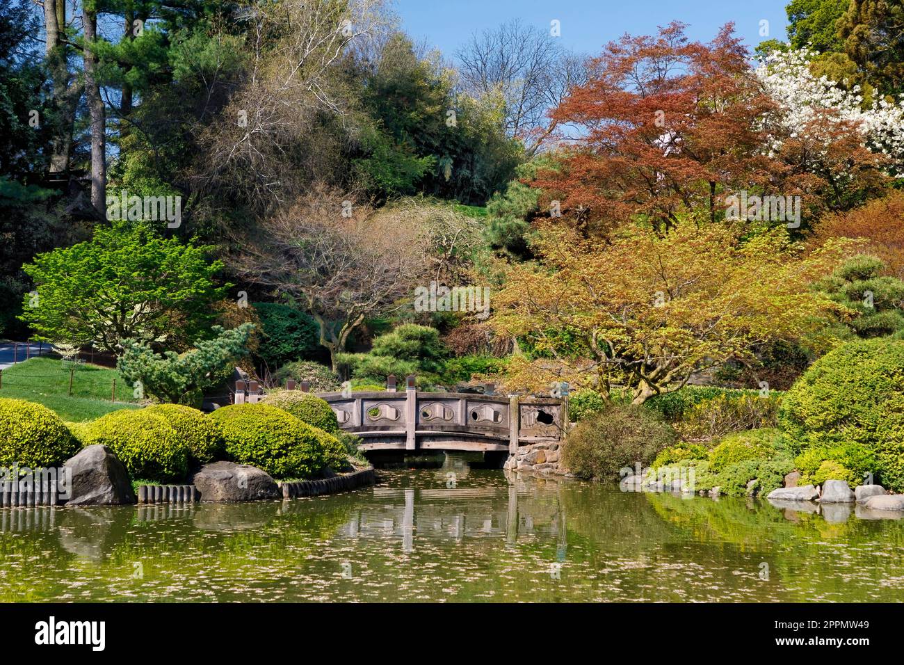 Brooklyn botanical garden japanese hill and pond garden hi-res stock ...