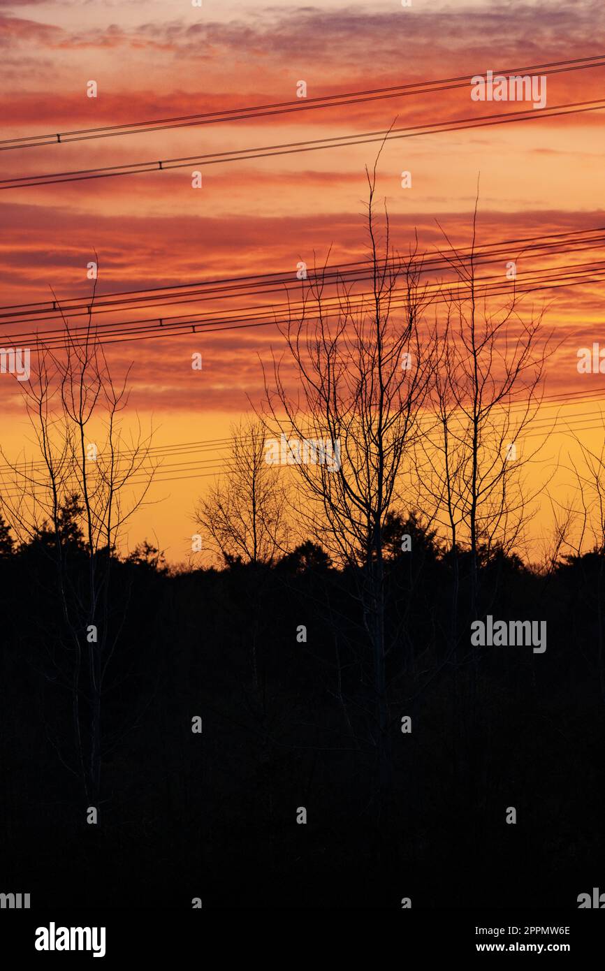 Trees electric power lines hi-res stock photography and images - Alamy