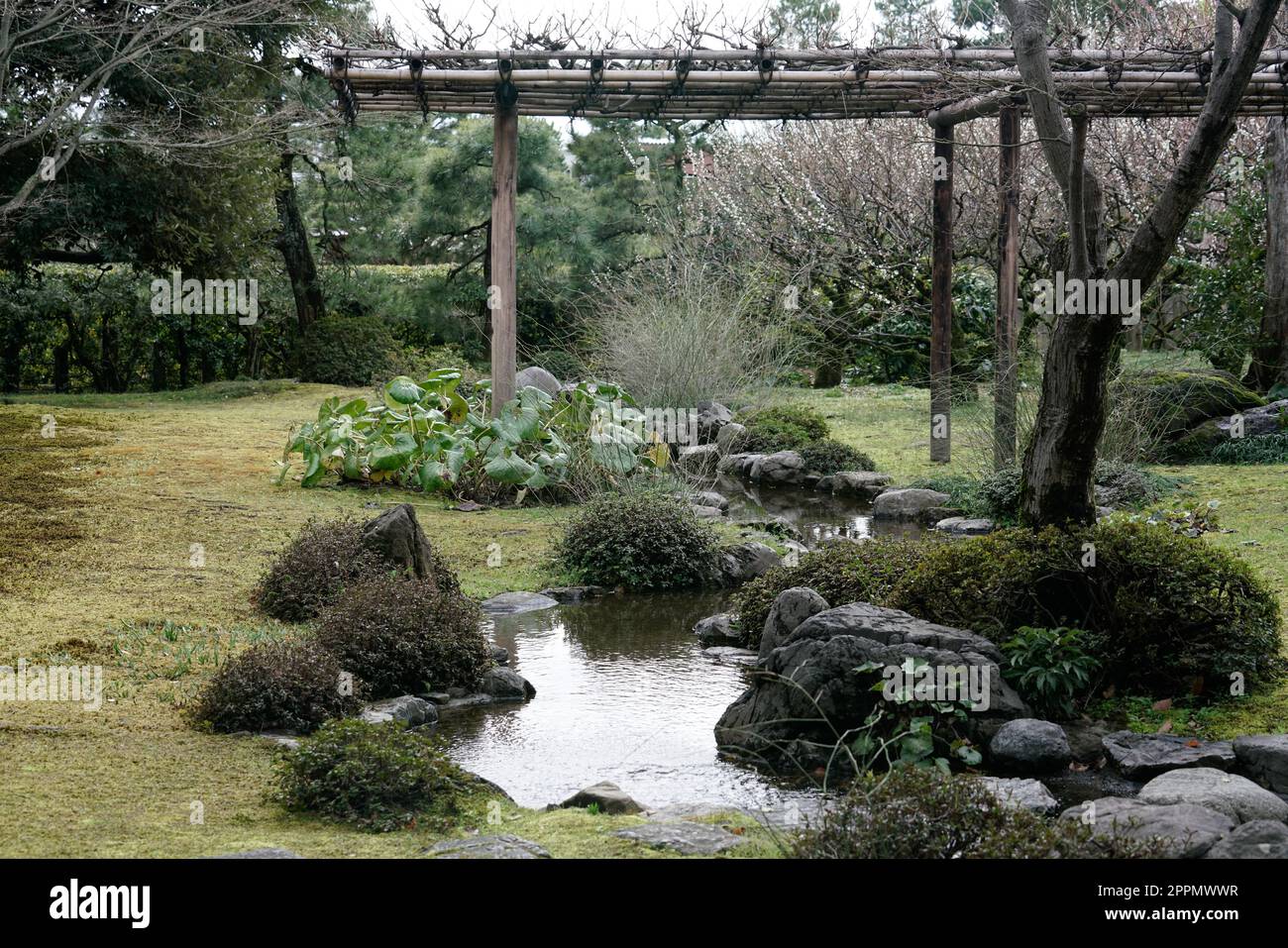 Jonangu - a shinto shrine in sothern Kyoto with traditional ...
