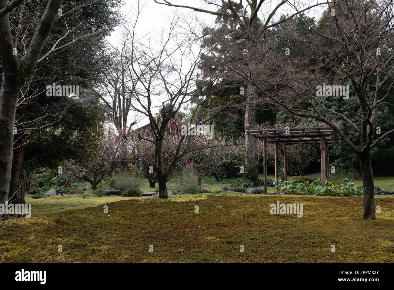 Jonangu - a shinto shrine in sothern Kyoto with traditional ...