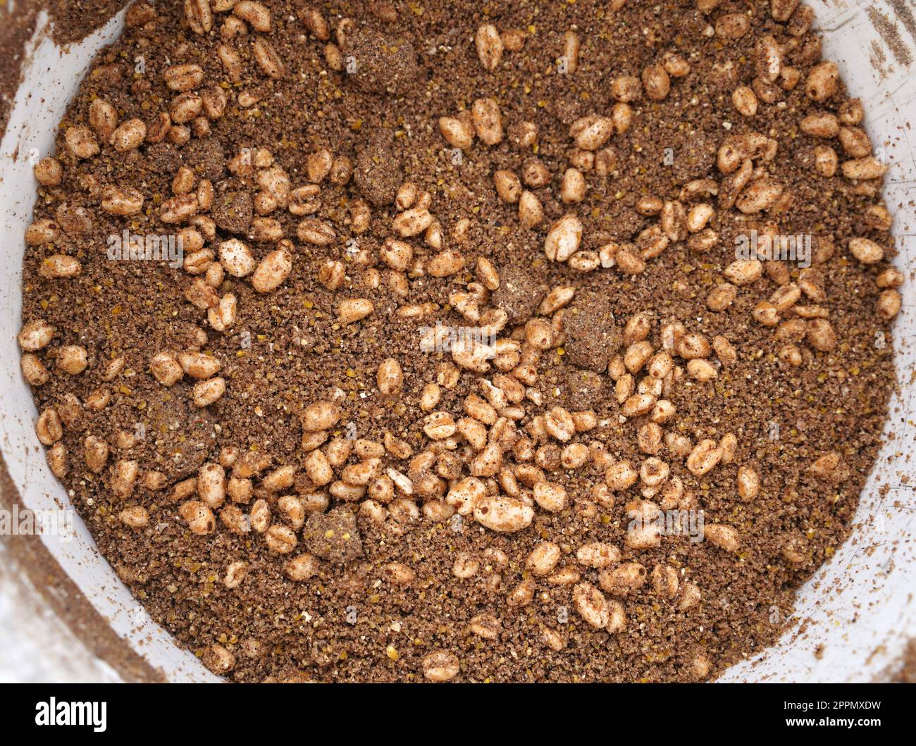 Maggots and fish food when fishing Stock Photo - Alamy