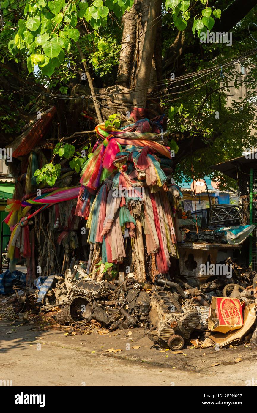 Thai Spirit Trees at Talat Noi, Bangkok, Thailand Stock Photo - Alamy