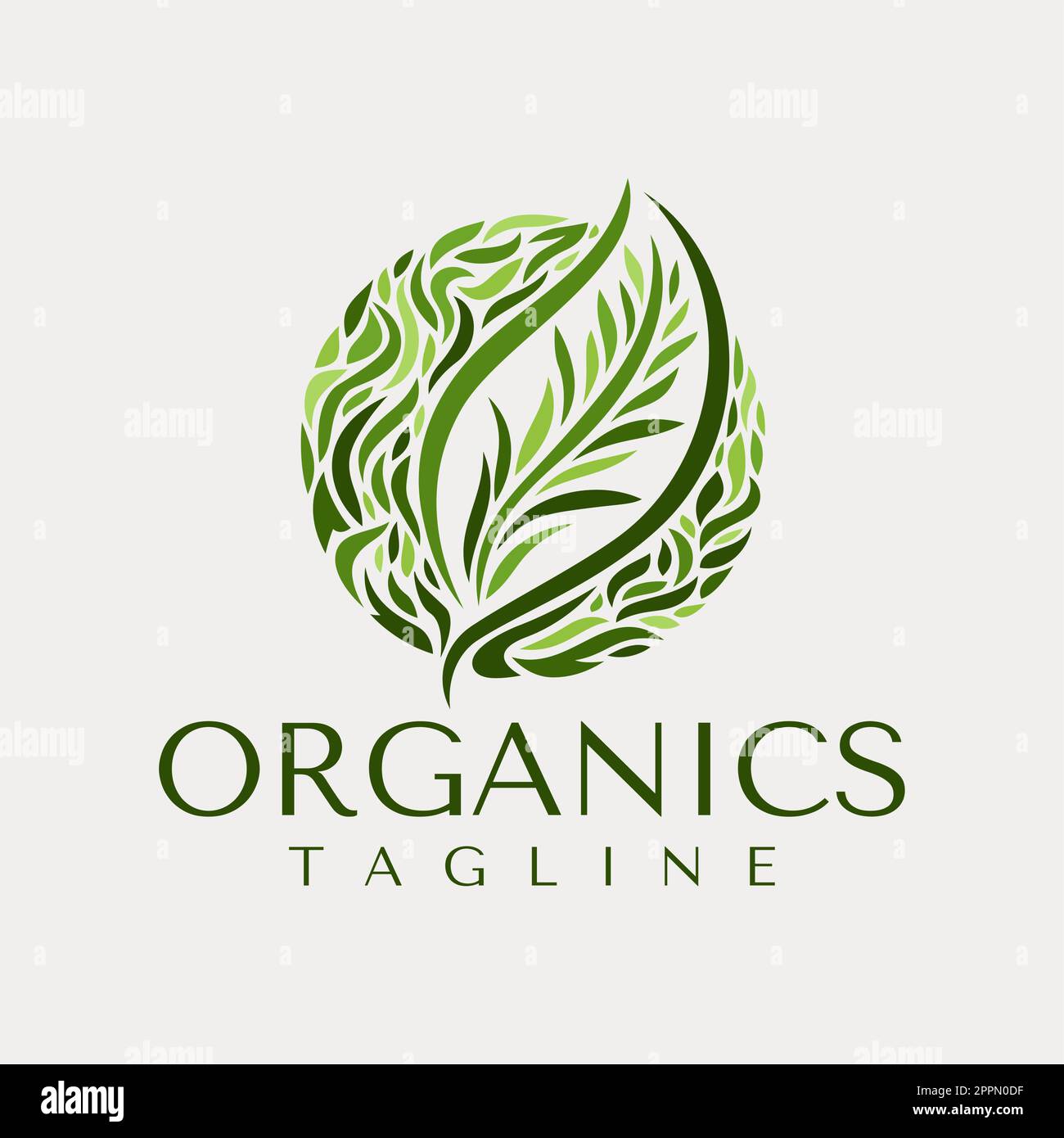 Decorative organic leaf circle logo design vector. Vintage green tea ...