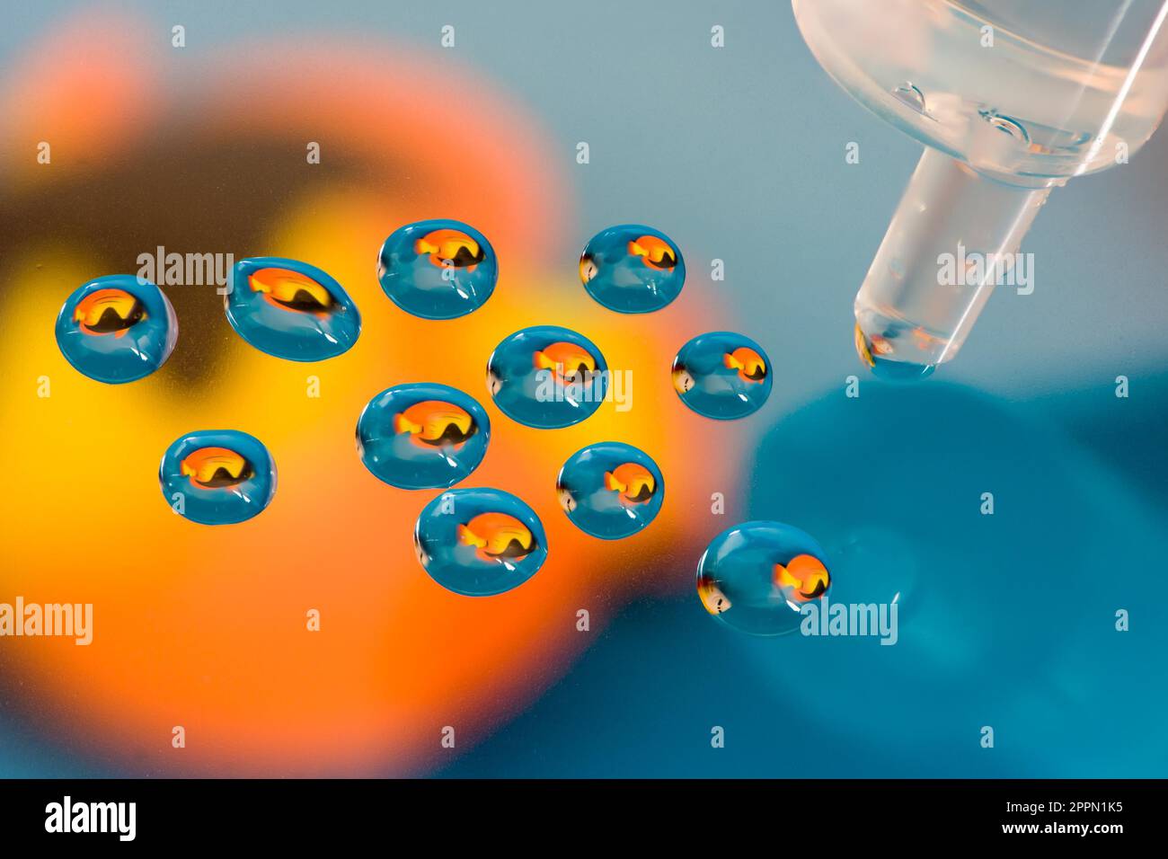 Fish reflections in a drops from a syringe - could be used to ...