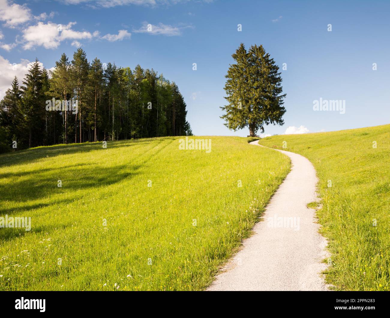 Lonely tree in mountainous hi-res stock photography and images - Alamy