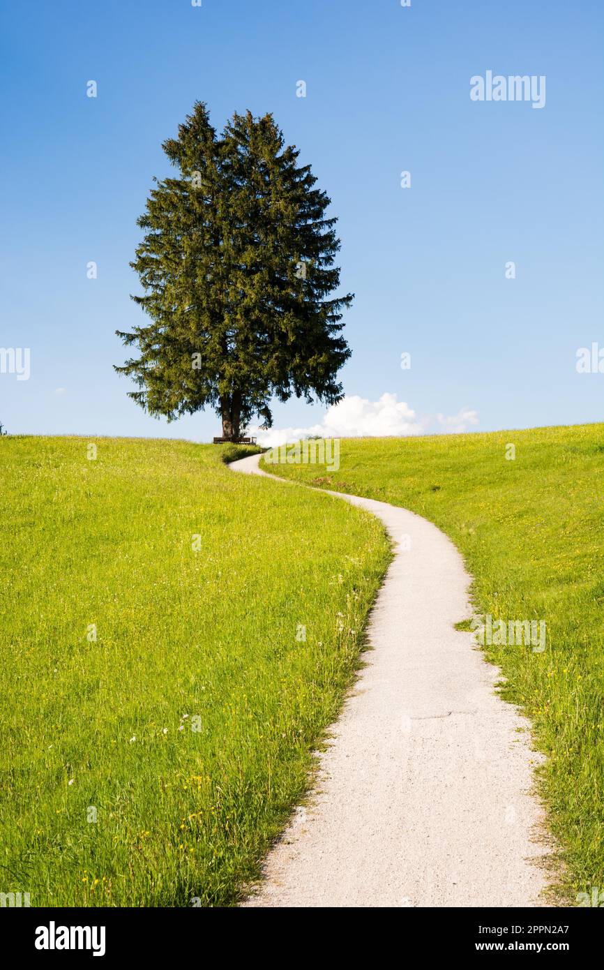 Lonely tree in mountainous hi-res stock photography and images - Alamy