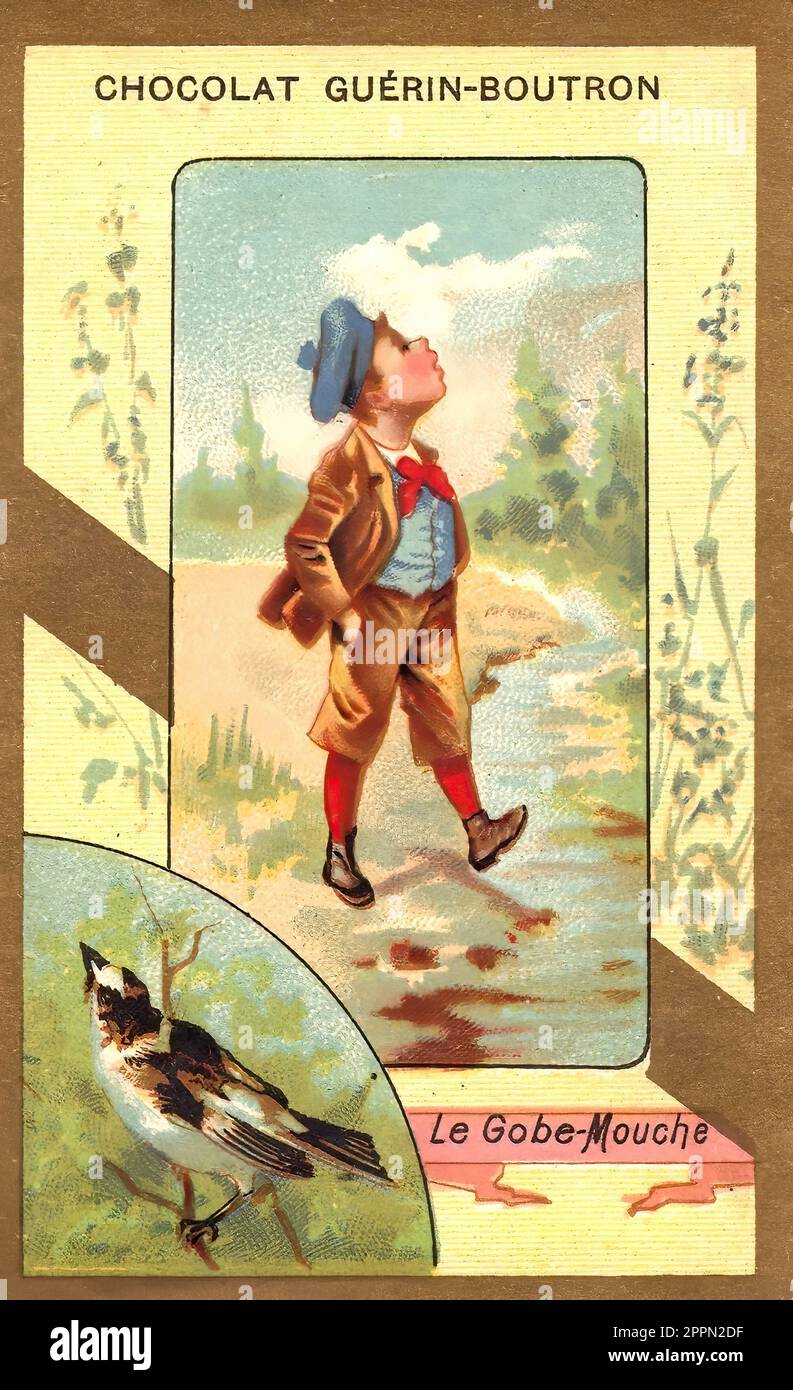 The Fly Catcher - Vintage French Tradecard - Belle Epoque Era Stock ...